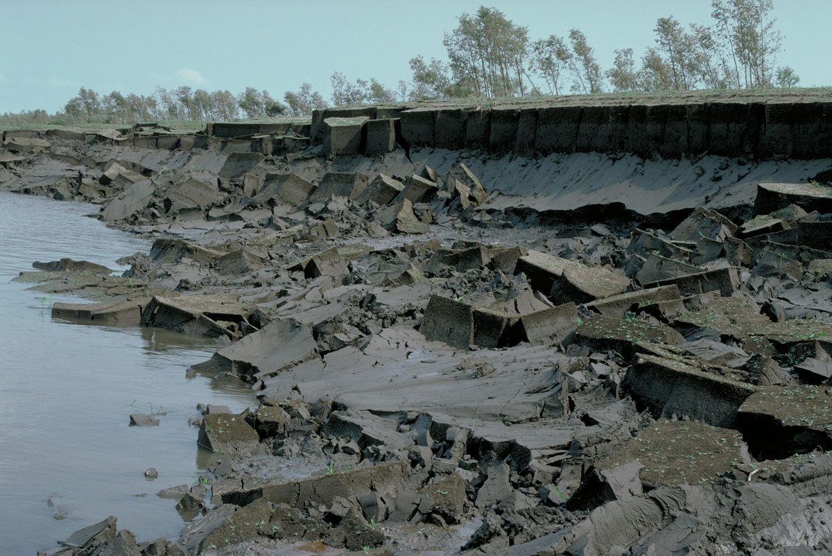 Sedimentos | Amazon Waters