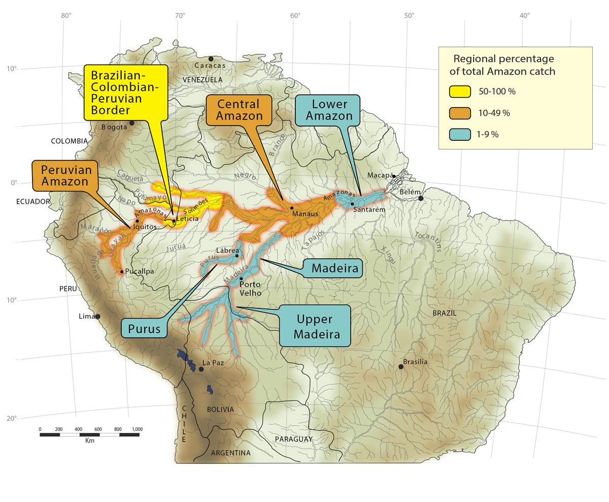 Jaú | AGUAS AMAZÓNICAS