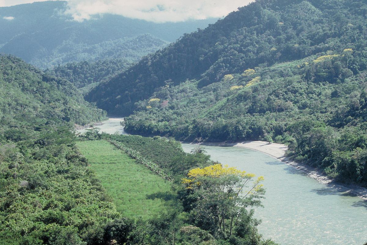 Ucayali | Amazon Waters