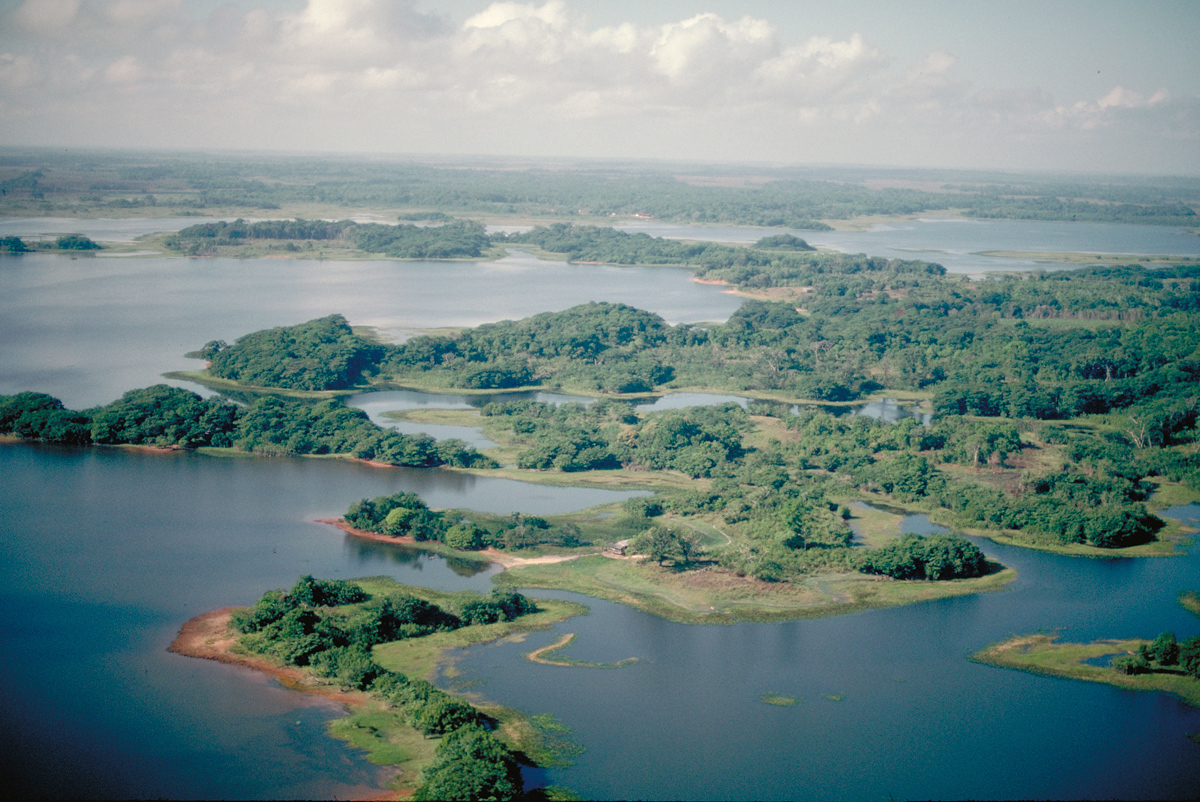 Do Estuario | Amazon Waters