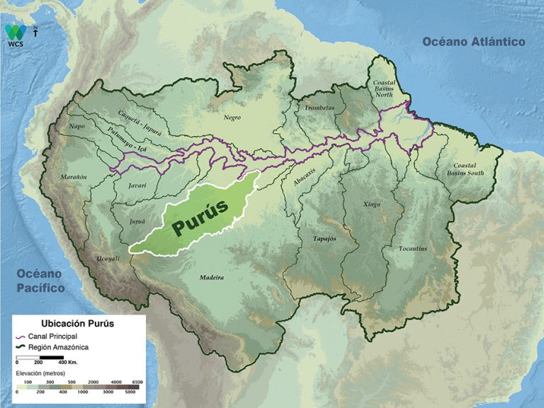 Purus | ÁGUAS AMAZÔNICAS